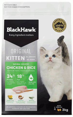 BLACKHAWK KITTEN CHICKEN & RICE