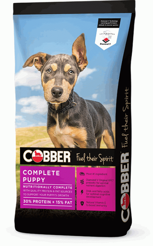 COBBER COMPLETE PUPPY